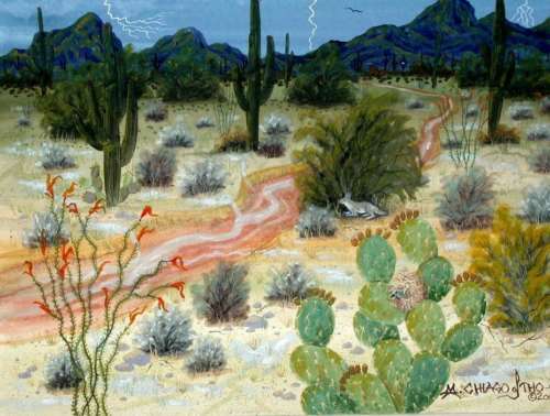 Permanent Collection - Tohono Chul - Tucson, AZ