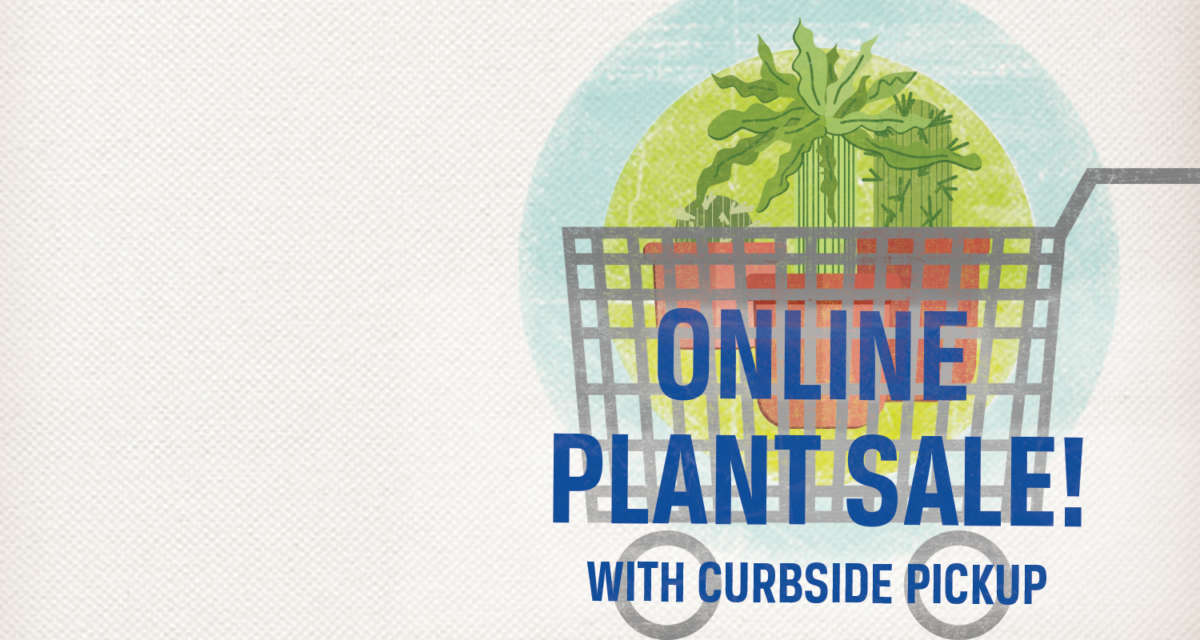 Products Archive - Tohono Chul