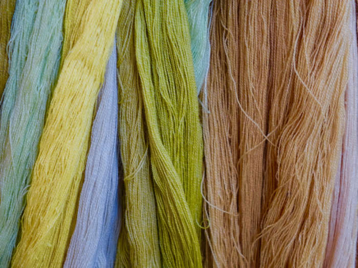 Color - Tohono Chul - Tucson, AZ