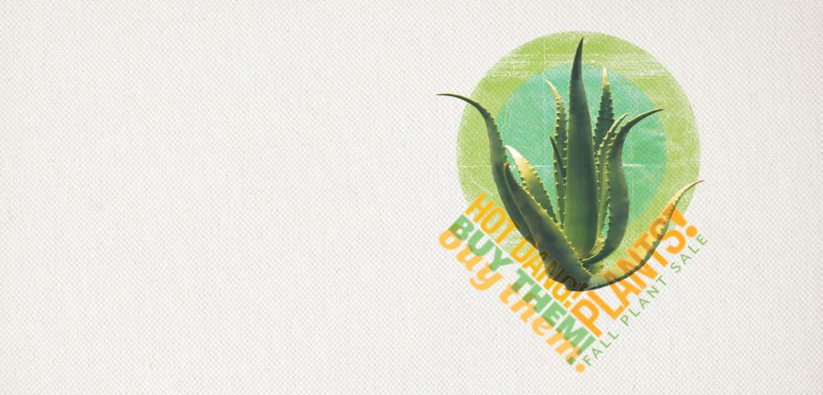 Tohono Chul | Botanical Gardens & Galleries | Tucson AZ