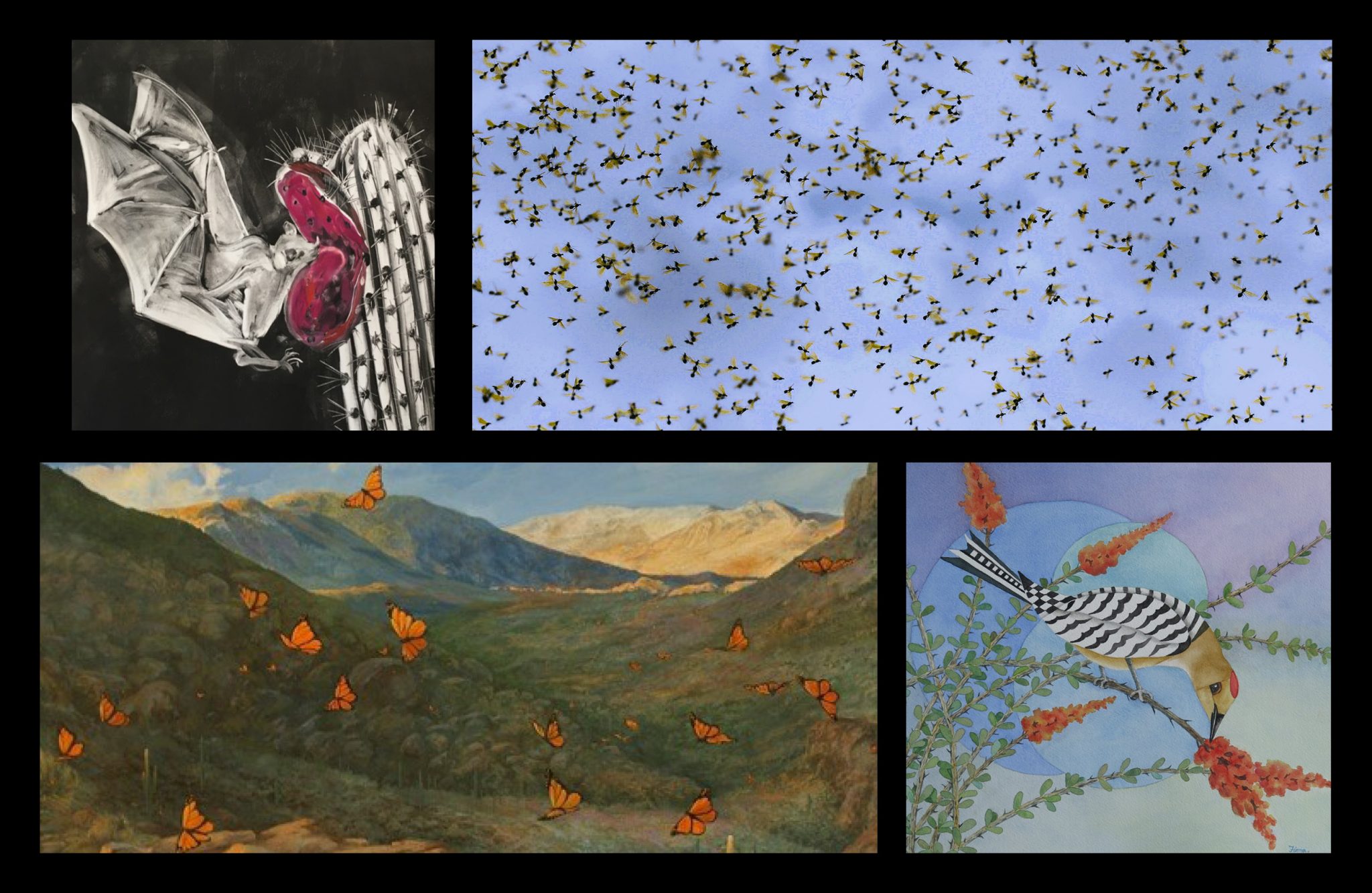 Upcoming Exhibitions - Tohono Chul - Tucson, AZ