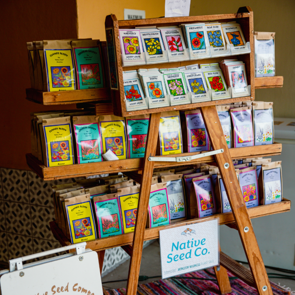 Tohono Chul Fall Plant Sale 2024 - Tohono Chul - Tucson, AZ