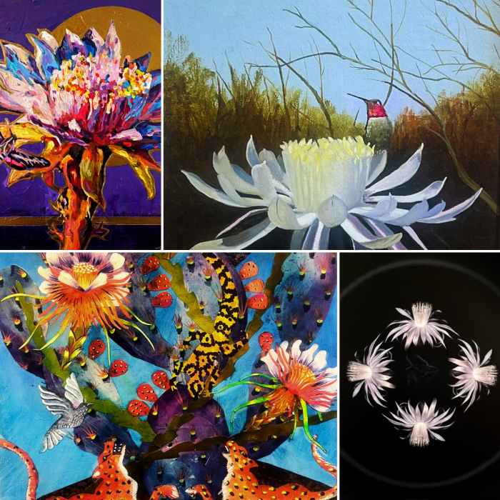 Current Exhibitions - Tohono Chul - Tucson, AZ