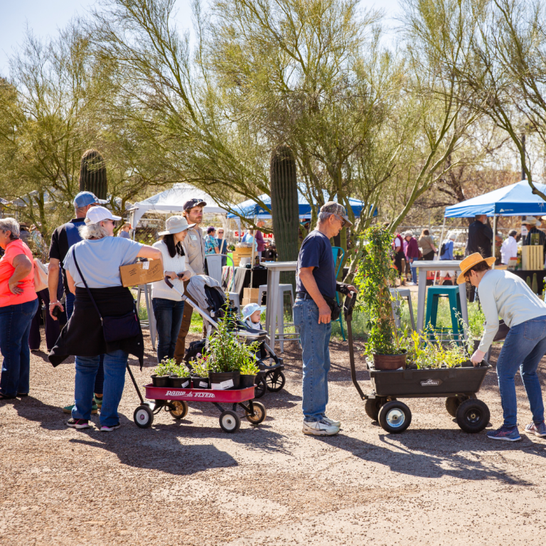 Tohono Chul Fall Plant Sale 2025 - Tohono Chul - Tucson, AZ