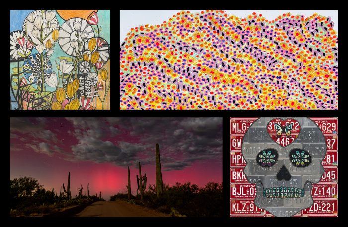 Current Exhibitions - Tohono Chul - Tucson, AZ