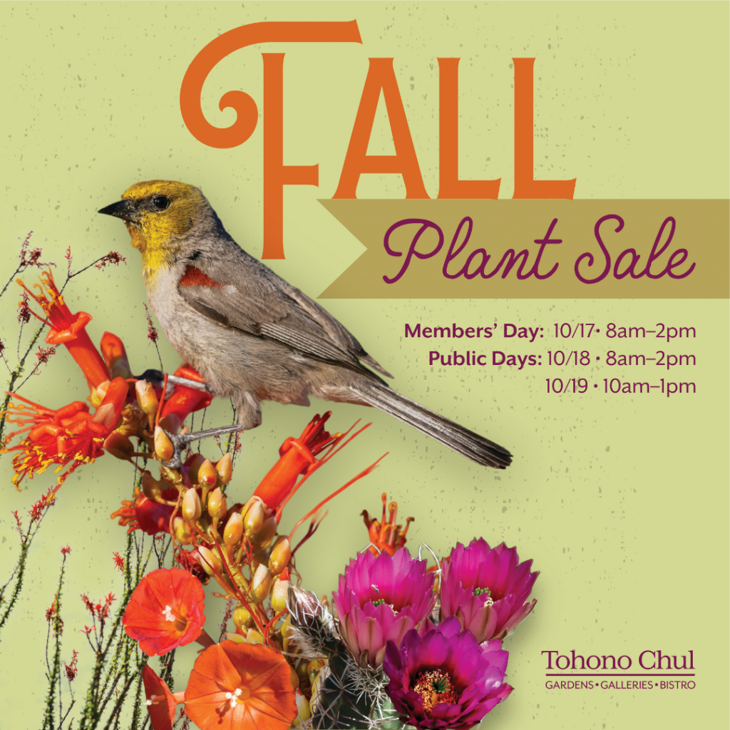Sales & Special Events - Tohono Chul - Tucson, AZ